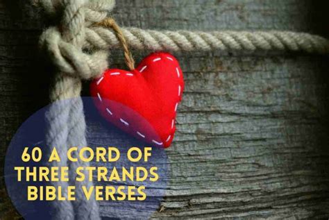 25 Popular Bible Verses For Passover Bible Verses Of The Day