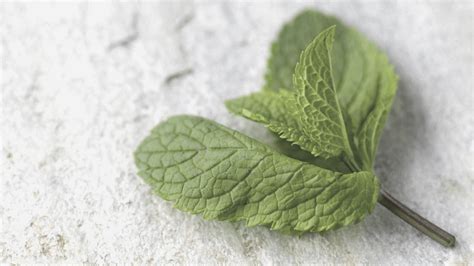 Your Guide To Emulsifiers In Food A Gutsy Girl®