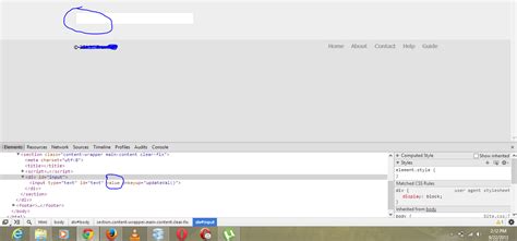 Javascript Browser Window Shows Correct Value In Inspector But Invalid In The Document Stack