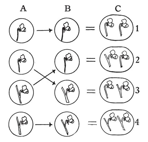 Espaces Free Stock Vectors