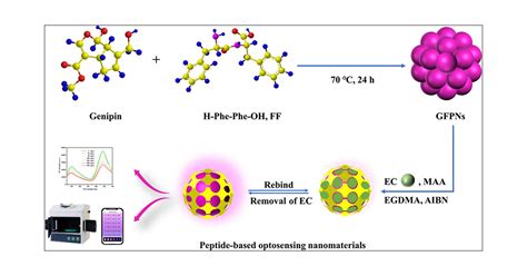 Peptide Based Molecularly Imprinted Polymer A Visual And Digital Platform For Specific