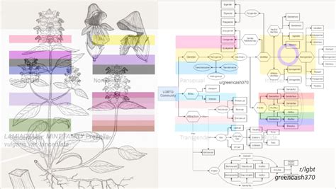 Sex Power Gender Transgression LGBT Diversity In The Th And Th Centuries