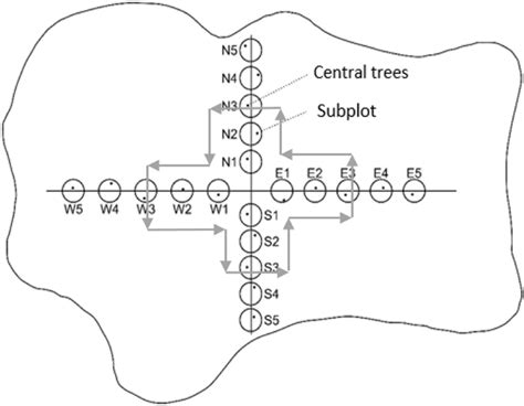 An Overview Of A Plot With 20 Six Tree Subplots Along Transects In The