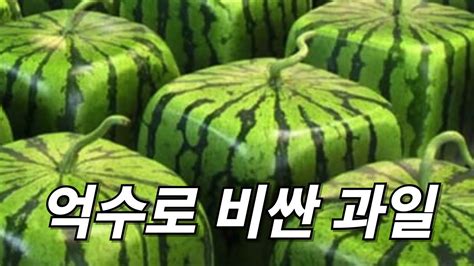 세계에서 가장 비싼 과일 7가지 Youtube