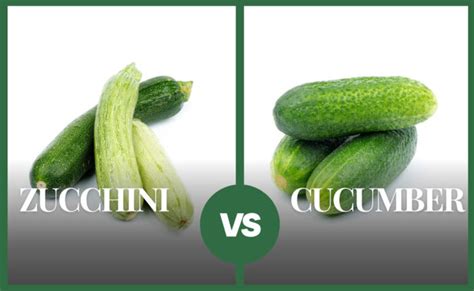 Zucchini Vs Cucumber