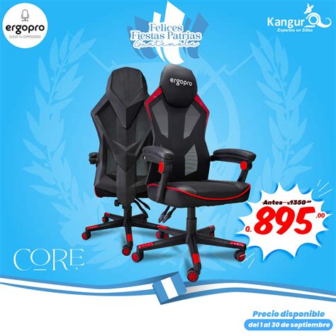 Kanguro Gt Expertos En Sillas