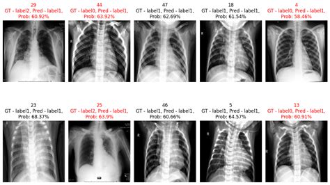 Pytorch Skeleton Code For Binary And Multi Class Classification Punn