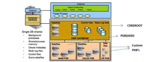 what is oracle multitenant in 12c