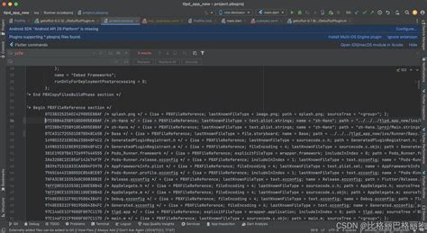 Flutter项目苹果编译运行打包上线flutter 打包ios Csdn博客 Flutter项目苹果编译运行打包上线flutter 打包ios Csdn博客