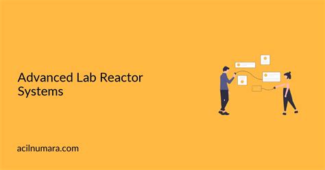 Advanced Lab Reactor Systems Acilnumara