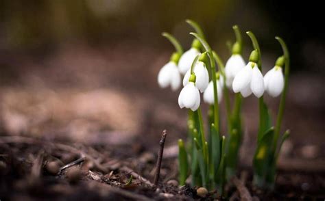 六种生命形态，碳基生命仅排第三，排名第一的硅基生命有多可怕？ 地球 宇宙 原子