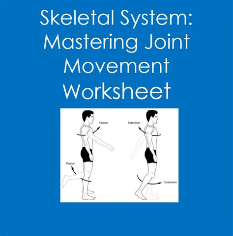 Skeletal System Mastering Joint Movement Worksheet Anatomy Made By Teachers