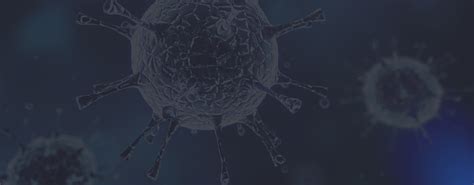 Laboratory Centrifuge Parts Centrifuge Accessories Cence Centrifuge