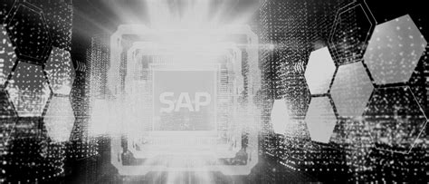 20m Sap Ecc Replacement Project Delayed Because Uk University Unsure