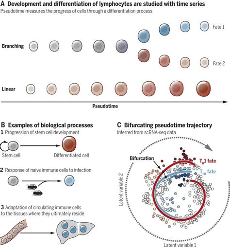 Single Cell Transcriptomics To Explore The Immune System In Health And Disease Rna Seq Blog