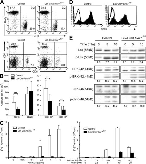 Proliferative Defect Of Fbxw7 Deficient Mature T Cells A Download Scientific Diagram