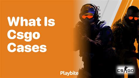What Are Cs Go Cases Playbite