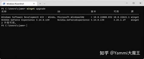 如何使用winget彻底替代各种管家的软件管理工具 知乎