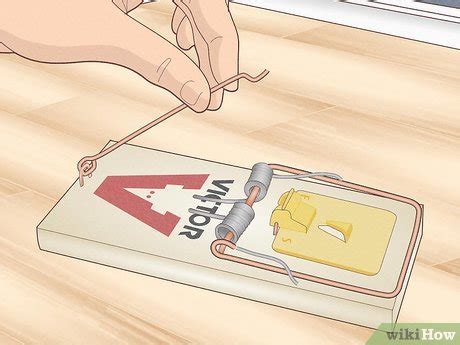 How To Set A Victor Rat Trap Steps With Pictures WikiHow