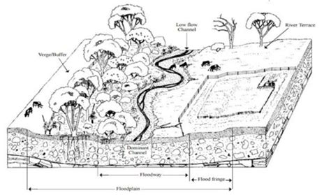 Riparian Zone Source Download Scientific Diagram