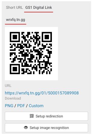 Adding A GS Digital Link