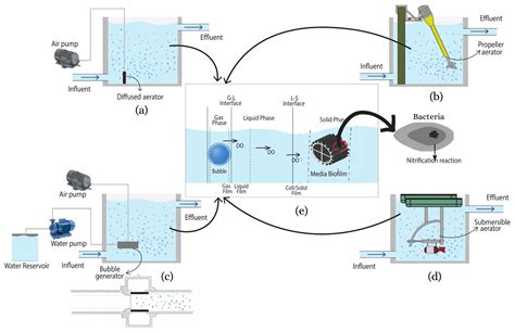 A Review Of Bubble Aeration In Biofilter To Reduce Total Ammonia Nitrogen Of Recirculating