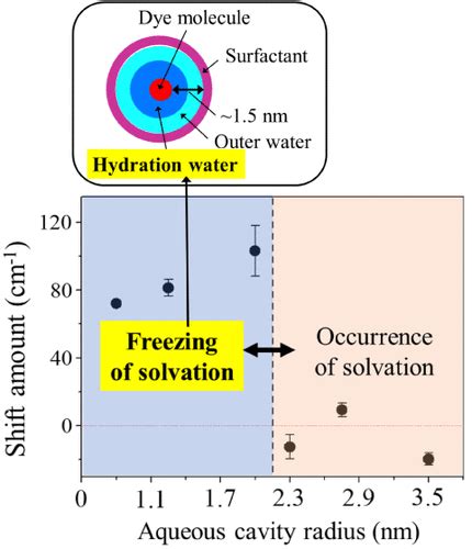Freezing Of Water Solvation Dynamics In Nanoconfinement By Reverse