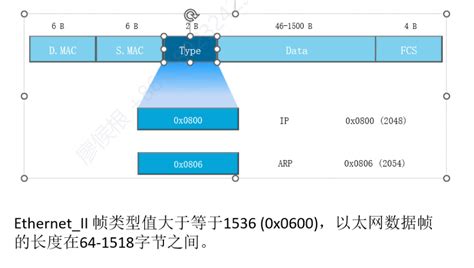 以太网帧格式以及传输介质 以太网帧类型字段取值及含义 Csdn博客
