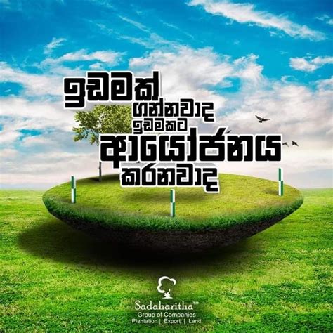 Dulanjali Danushika On Linkedin Sadaharitha Sadaharithaplantations