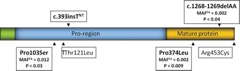 Low Frequency Coding Variants Lfcvs In Growth Differentiation Factor Download Scientific