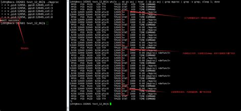 【linux】进程控制 csdn博客