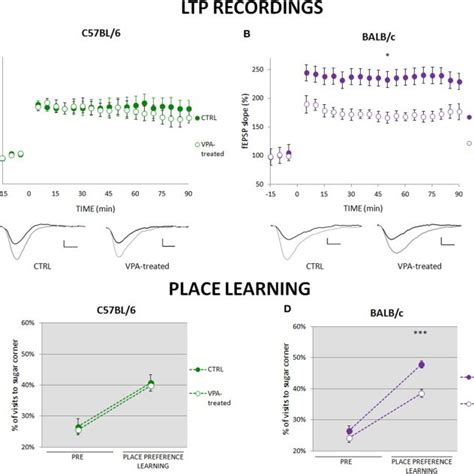 Self Designed Automated Behavioral Tests Are Highly Replicable The Download Scientific Diagram