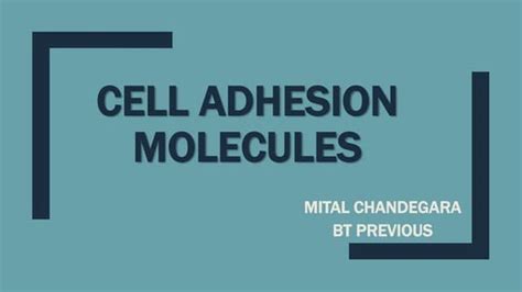 Cell Adhesion Molecules Ppt
