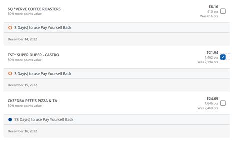 Chase Pay Yourself Back Website Requires Multiple Clicks Per Item Limited To 12 At A Time