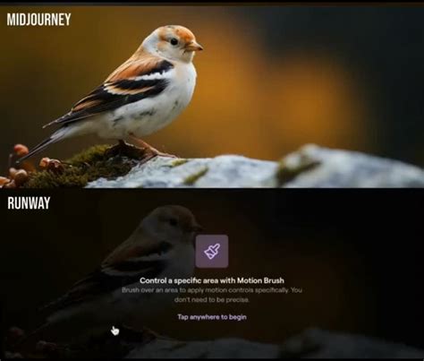 Rayyan Shaikh On Linkedin Ai Runway Creativetech