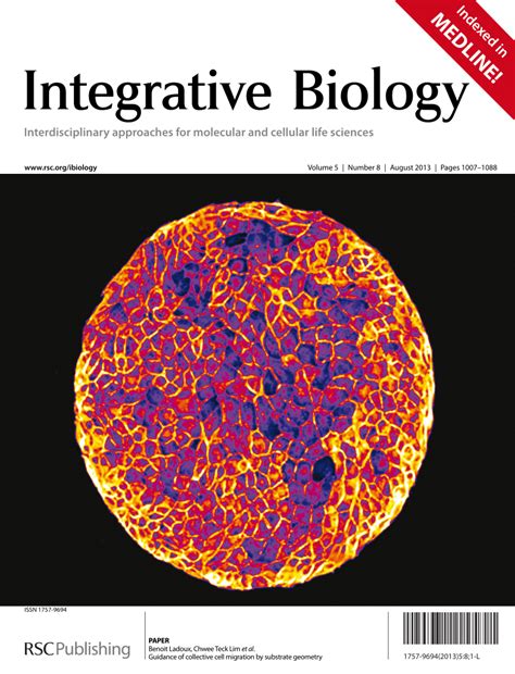 Pdf Guidance Of Collective Cell Migration By Substrate Geometry