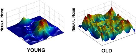 Effect Of Aging On Neural Noise Modulation As The Solution Manifold Download Scientific