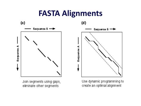 Fasta Steps Features Algorithm Result Etc Pptx
