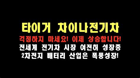 타이거 차이나전기차 걱정하지 마세요 이제 상승합니다 전세계 전기차 판매량 여전히 증가 2차전지 배터리 산업은 폭풍성장