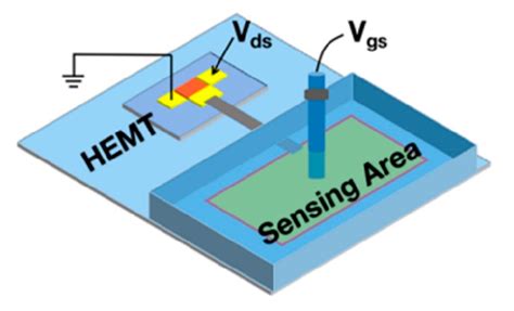 The Example Structure Of An Extended Gate Biosensor Reprinted From
