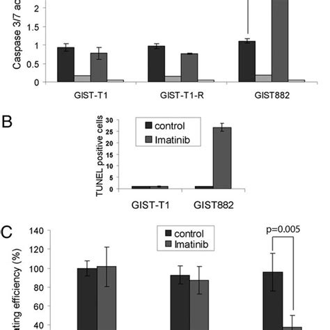 Imatinib Induces Reversible Quiescence In Gist Cells Experiments Were