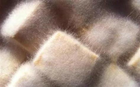 腐乳中亚硝酸盐含量高吃了会致癌营养师有4种食物需要注意 亚硝酸盐 腐乳 含量 新浪新闻