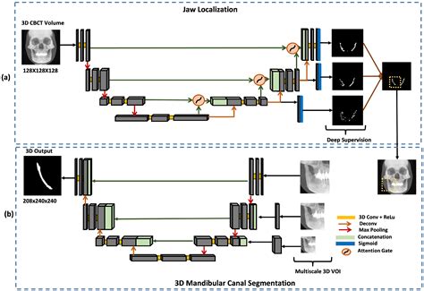 Dual Stage Deeply Supervised Attention Based Convolutional Neural Networks For Mandibular Canal