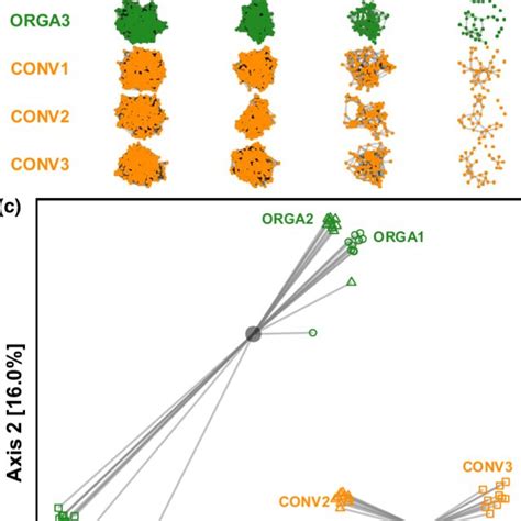 Networks Were Inferred With Sparcc Friedman And Alm 2012 Download