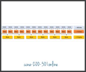 Ethernet MAC Address CCNA 200 301