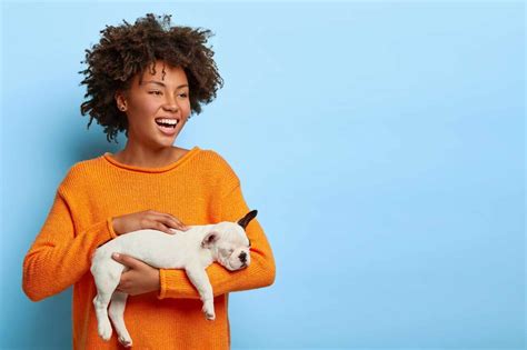 Vaterinary Adp Foods