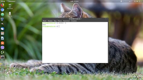 Ошибка Too Many Open Files в Linux Losst