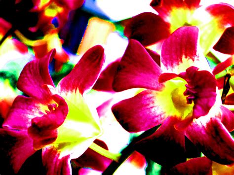 Period 5 Photography Before And After Hue Saturation