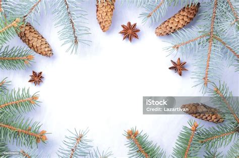 전나무의 분 지 전나무 콘와 아니 스 크리스마스 패턴입니다 크리스마스 카드에 대 한 빈 흰색 바탕에 크리스마스 분기 합니다 공간