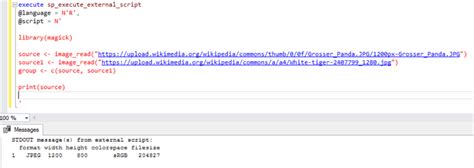 Image Processing With R And Sql Server 2017